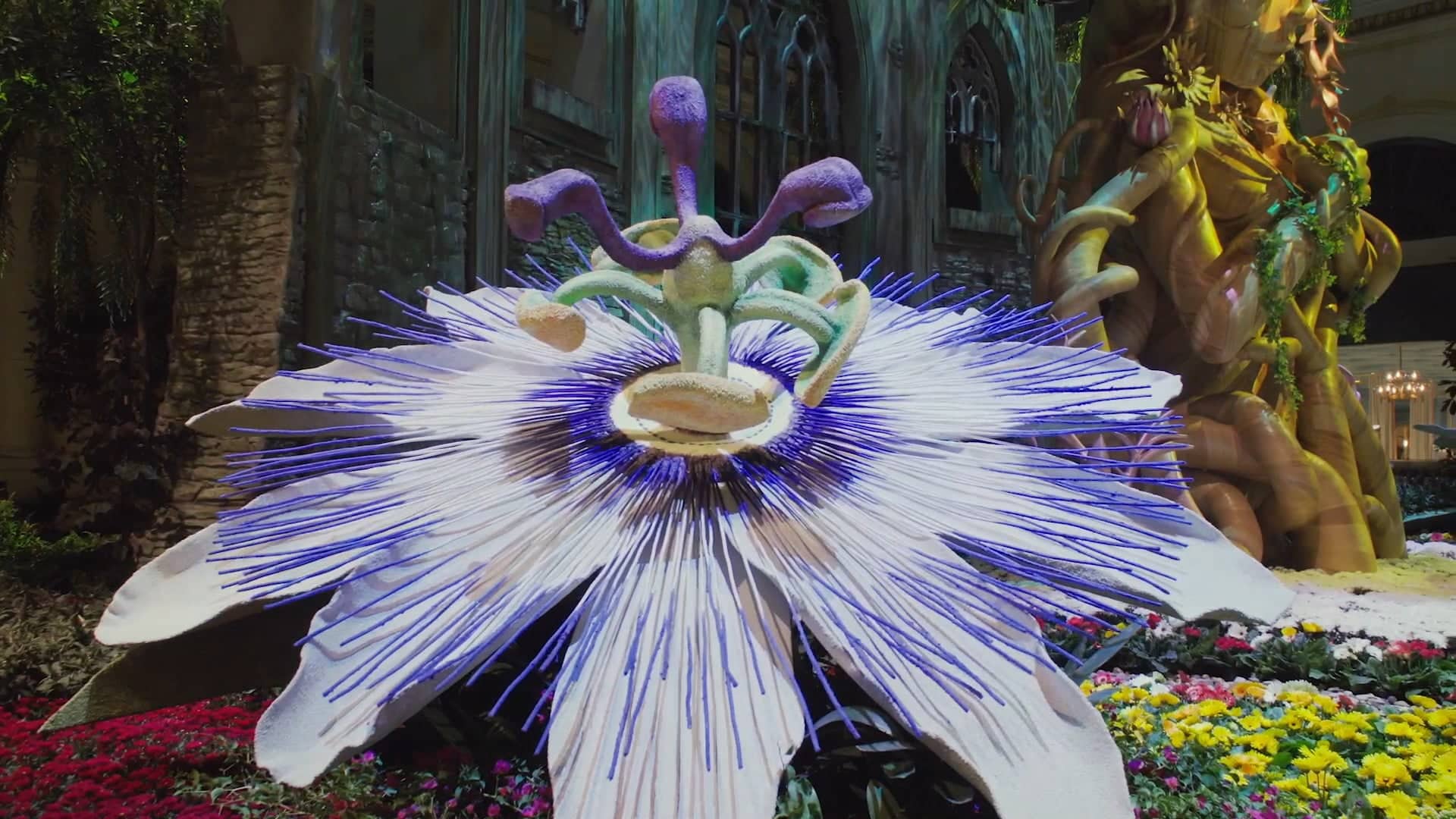Video: 2021 Summer display at Bellagio’s Conservatory & Botanical Gardens