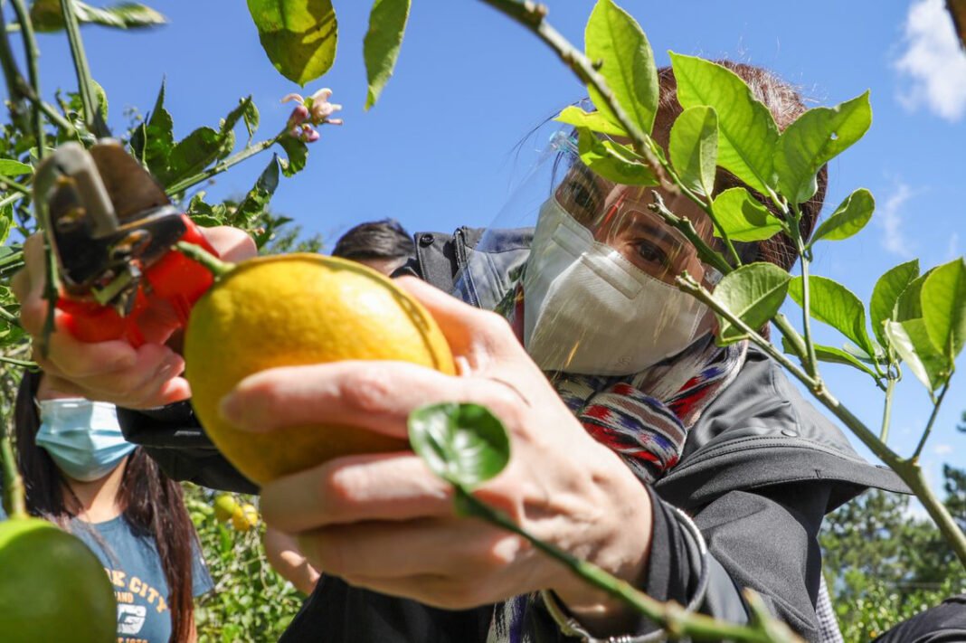 Here are 6 Places to visit when in the Philippines