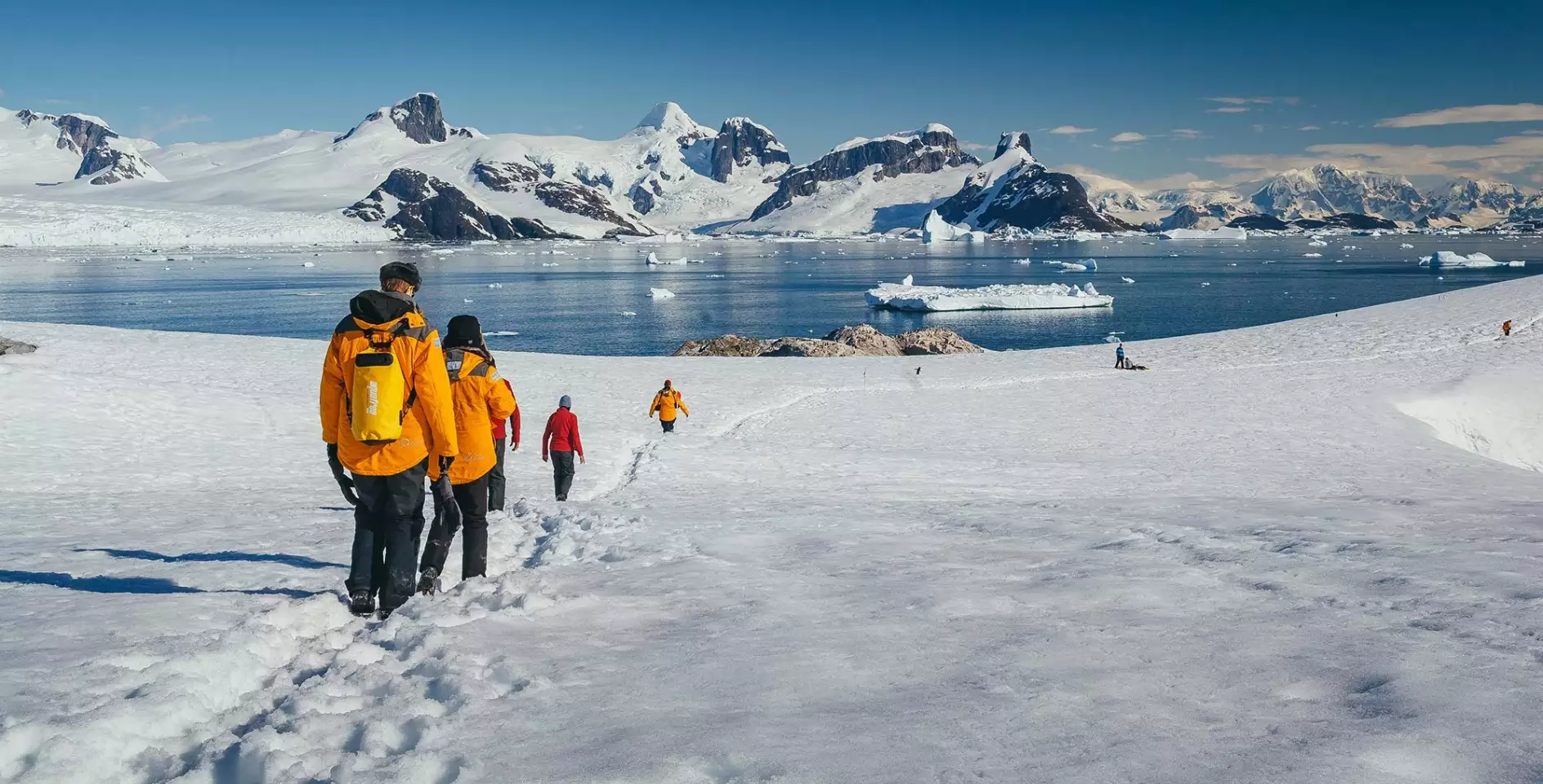 Quark Expeditions will resume polar voyages to Antarctica in November