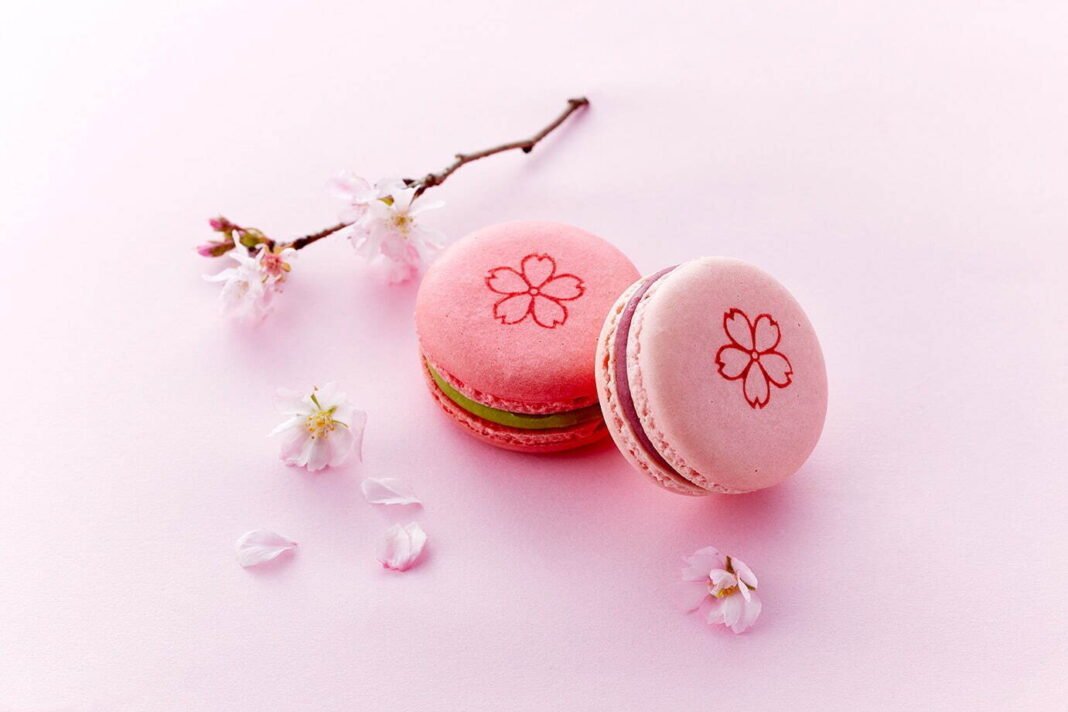 SNAP TASTE | 2022 Sakura Drink and Macaron from Lindt Chocolate