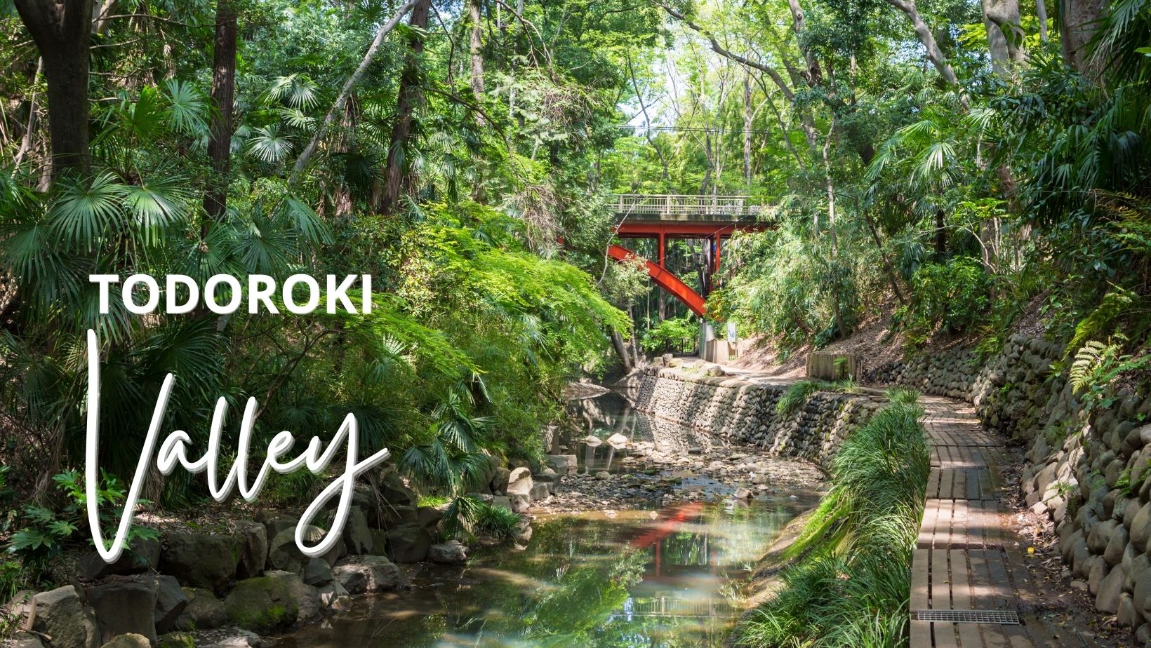 TOKYO GUIDE: The Blissful Todoroki Valley in Setagaya ward