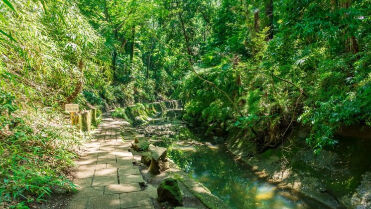 TOKYO GUIDE: The Blissful Todoroki Valley in Setagaya ward