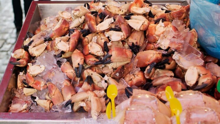 Top 15 Seafood Restaurants to try in Fjord Norway | SNAP TASTE