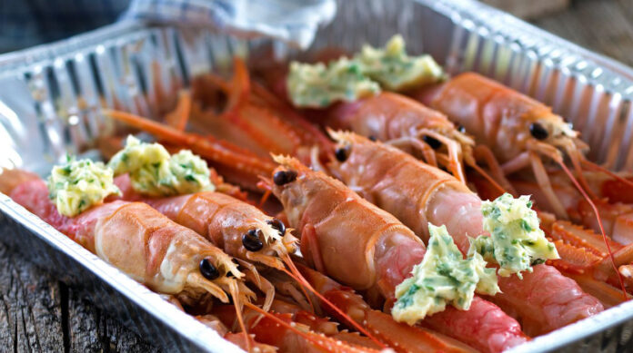 SNAP TASTE | Top 15 Seafood Restaurants to try in Fjord Norway