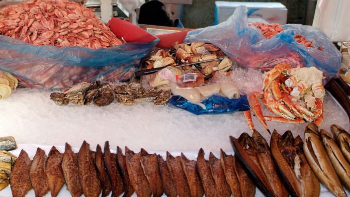 Top 15 Seafood Restaurants to try in Fjord Norway | SNAP TASTE