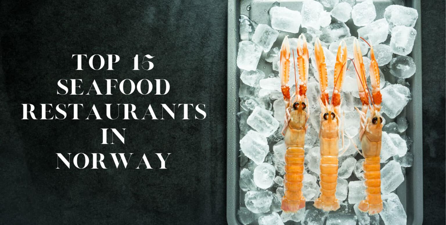Top 15 Seafood Restaurants to try in Fjord Norway | SNAP TASTE