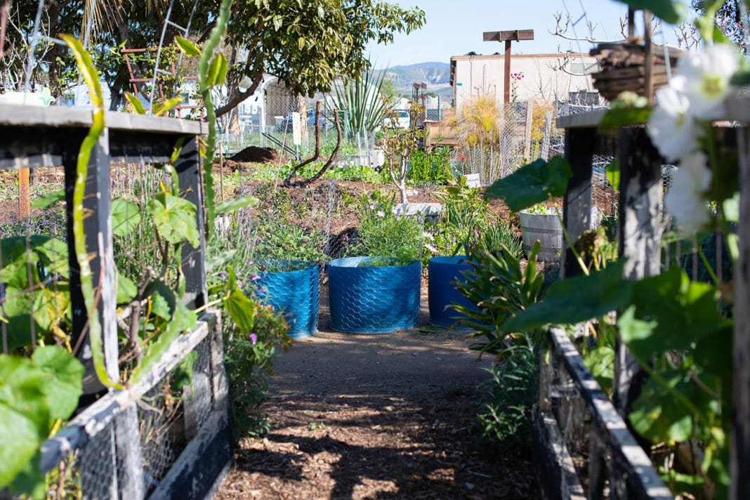 Explore Sustainable Agriculture and Gardening at Irvine’s Great Park Farm + Food Lab | SNAP TASTE