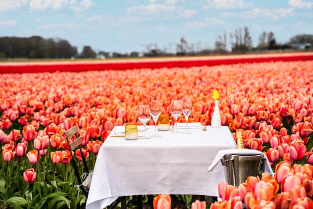 Indulge in a Private Champagne Lunch Surrounded by Tulips with Anantara ...