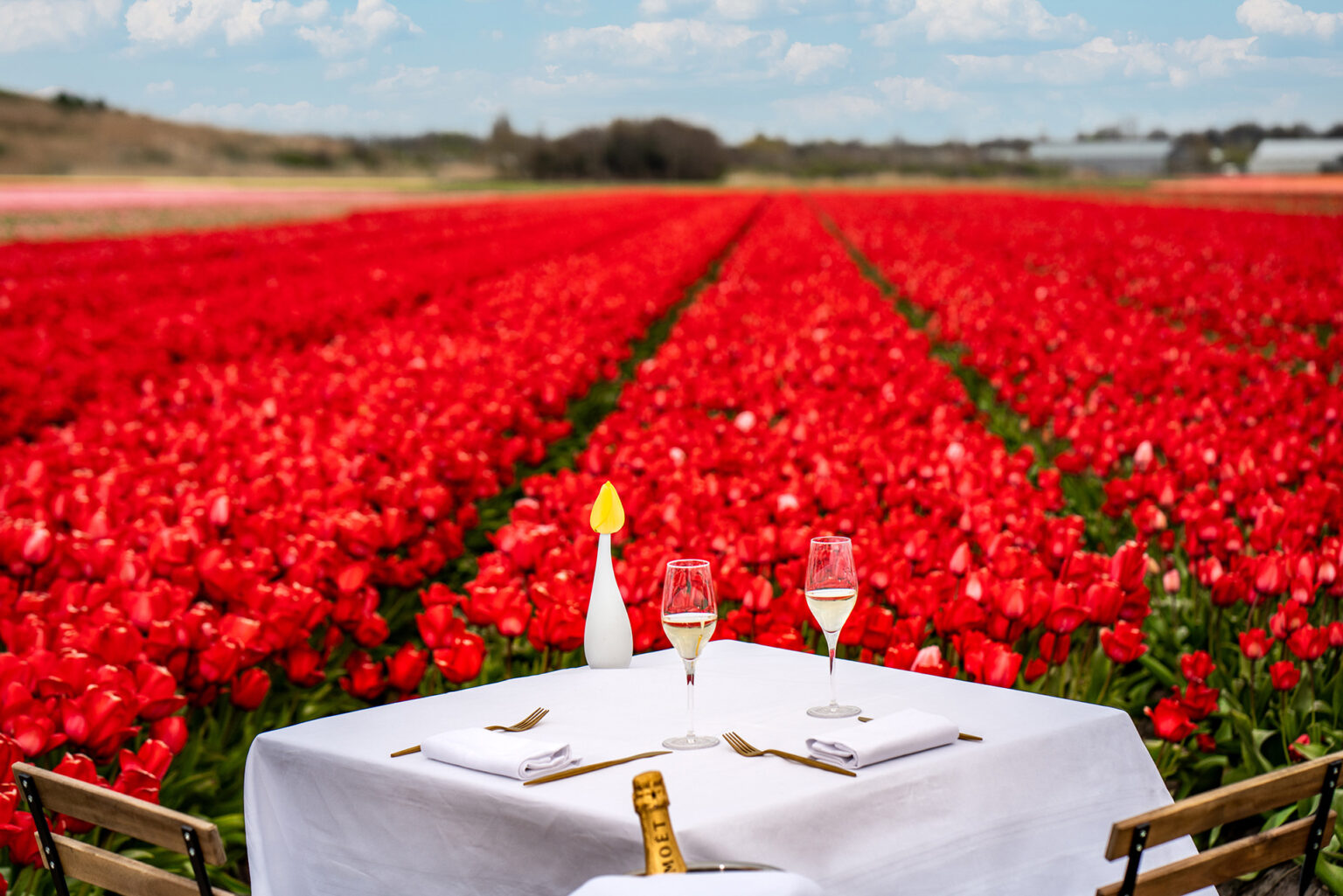 SNAP TASTE | Indulge in a Private Champagne Lunch Surrounded by Tulips ...