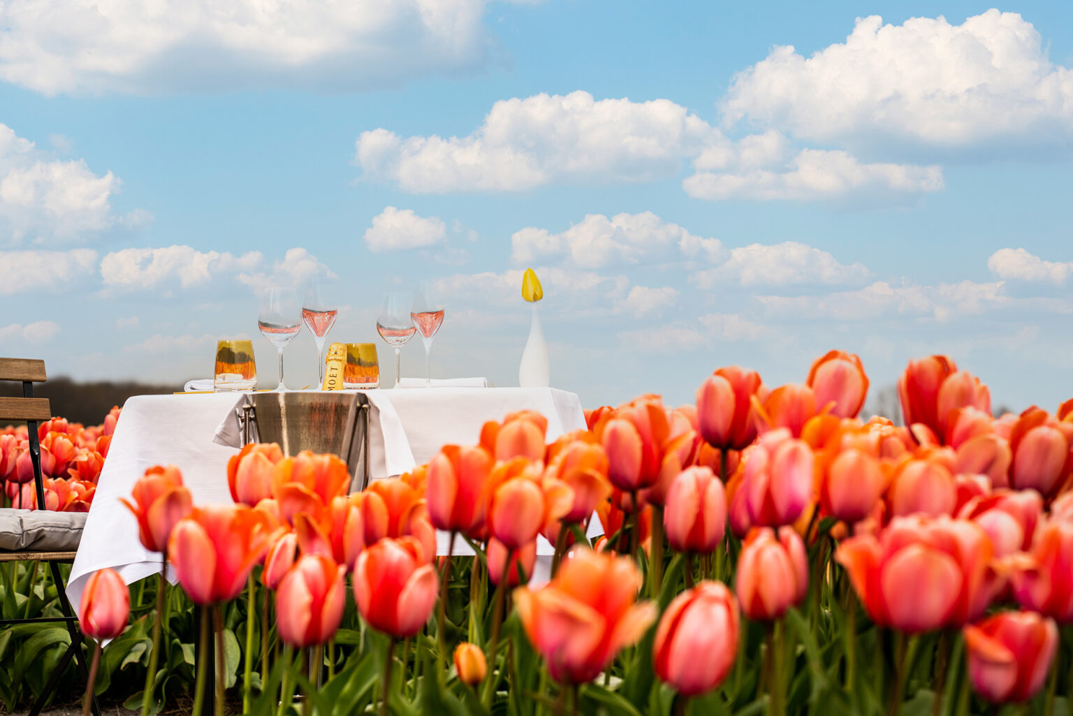 SNAP TASTE | Indulge in a Private Champagne Lunch Surrounded by Tulips ...