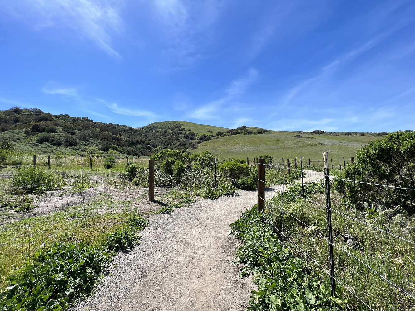 Bommer Canyon Preserve: A Rustic Haven in the Heart of Irvine | SNAP TASTE