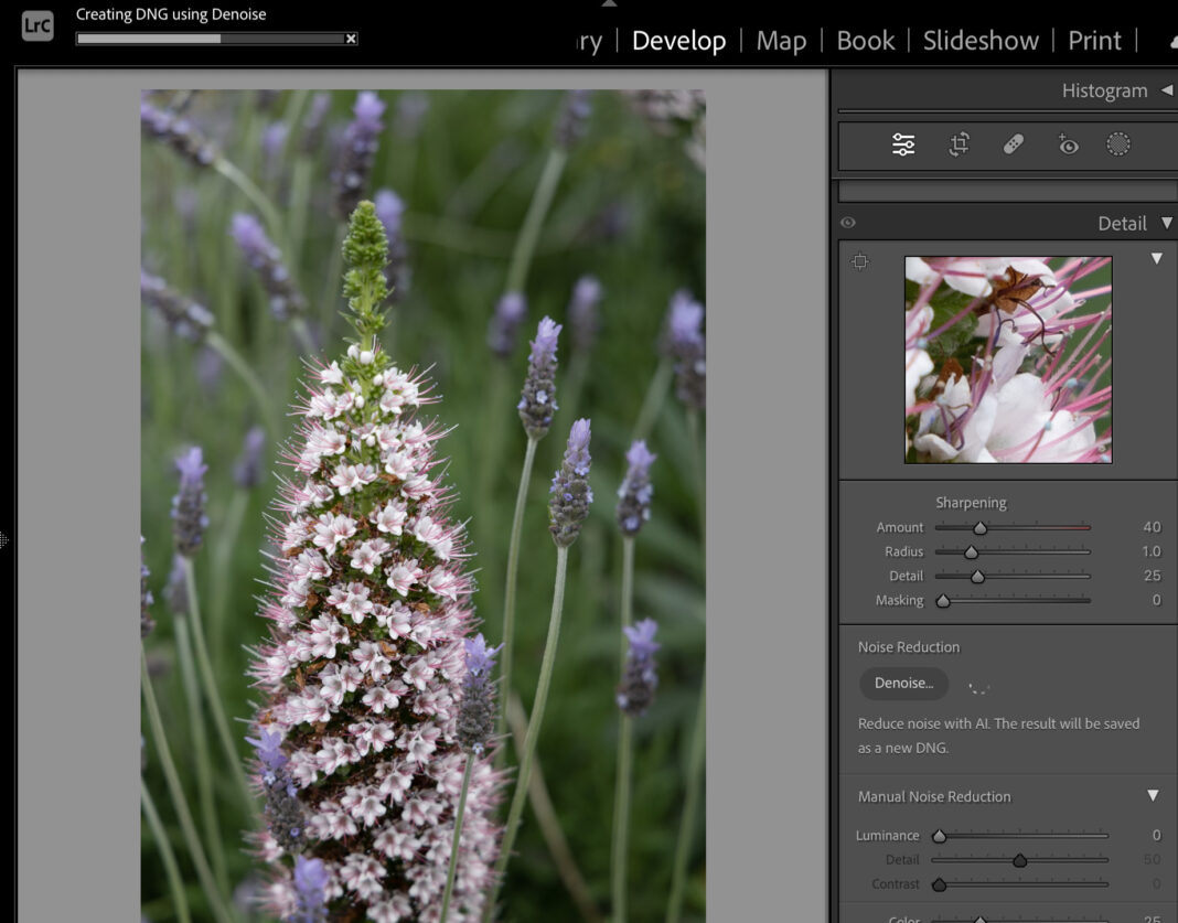 Tutorial: Adobe Lightroom Classic AI-Powered Photo Editing Updates ...