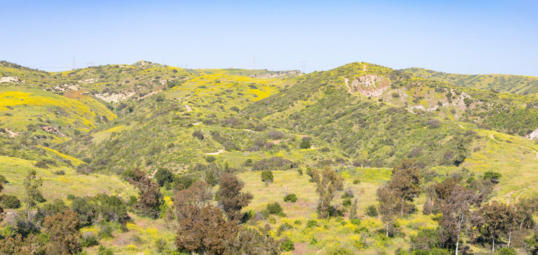 SNAP TASTE | Explore Orange County’s Natural Beauty: 5 Must-Try Hiking ...