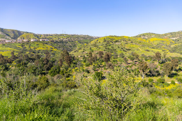 SNAP TASTE | Explore Orange County’s Natural Beauty: 5 Must-Try Hiking ...