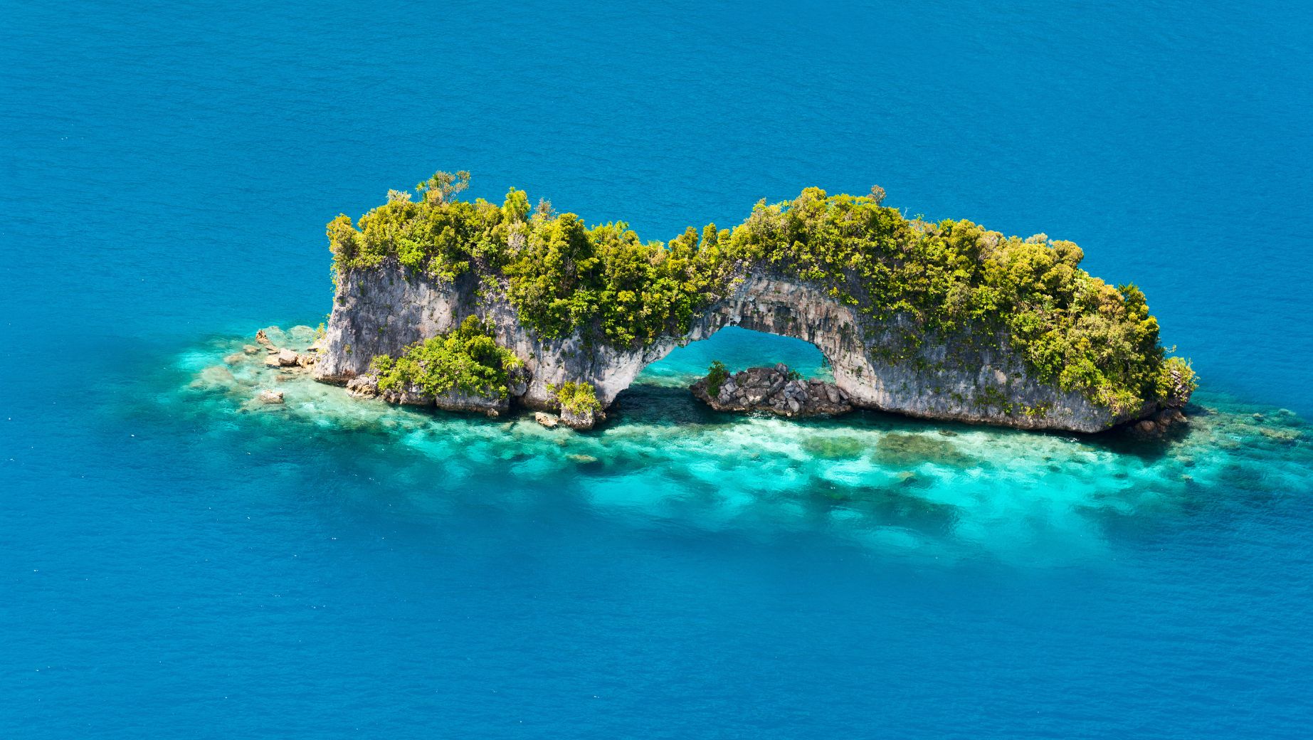 SNAP TASTE | Exploring the Wonders of Palau: A Tropical Paradise in the ...