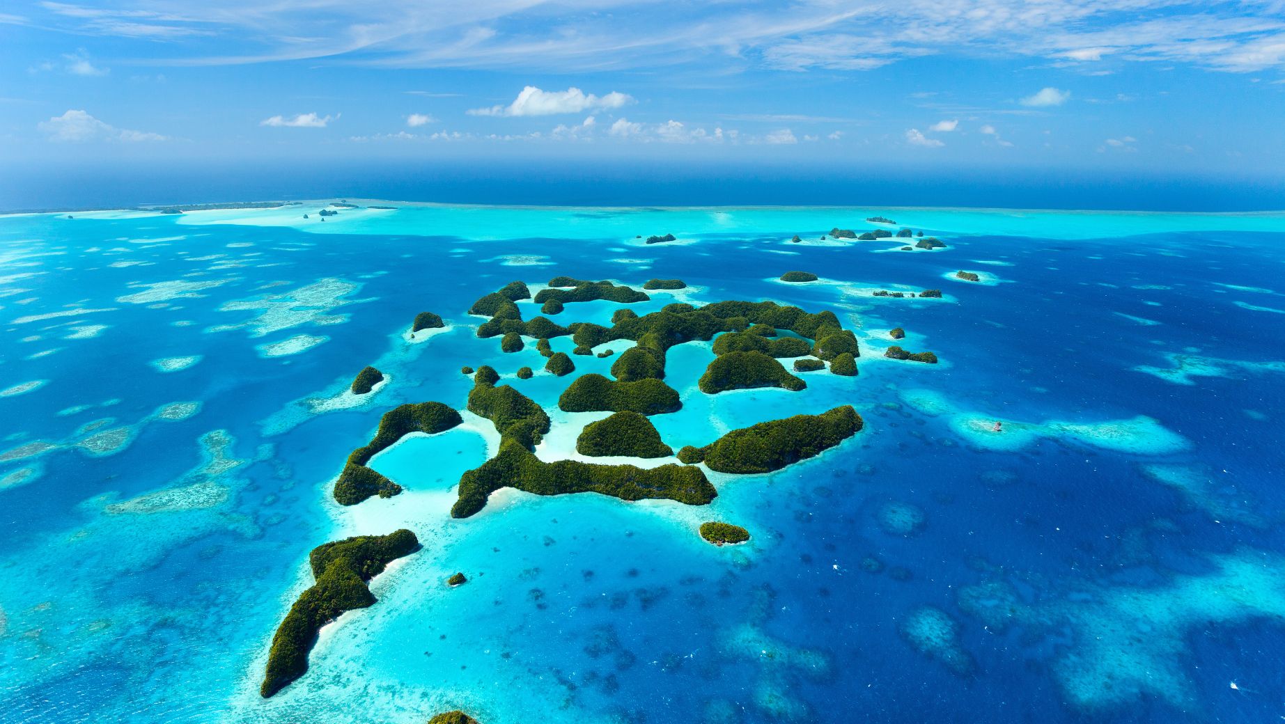 SNAP TASTE | Exploring the Wonders of Palau: A Tropical Paradise in the ...