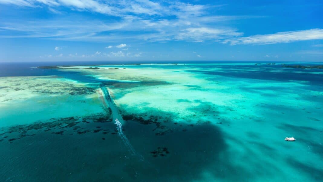 Exploring the Wonders of Palau: A Tropical Paradise in the Pacific ...