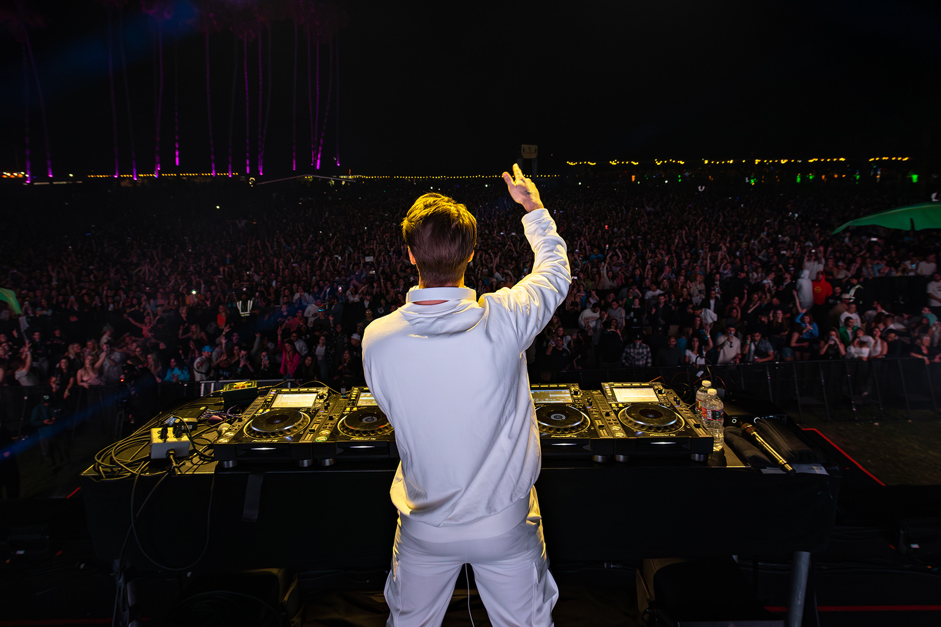 SNAP TASTE | Captivating Imaginations: The Unforgettable Palm Tree ...