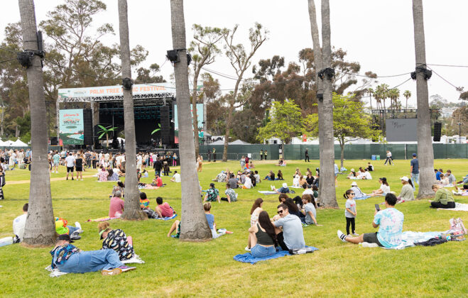 Captivating Imaginations: The Unforgettable Palm Tree Music Festival in ...