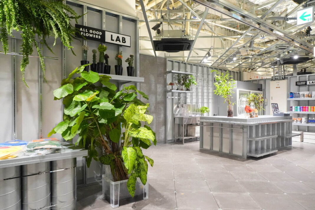 Harakado: A Look Inside Harajuku’s Must-Visit Spot of 2024 | SNAP TASTE