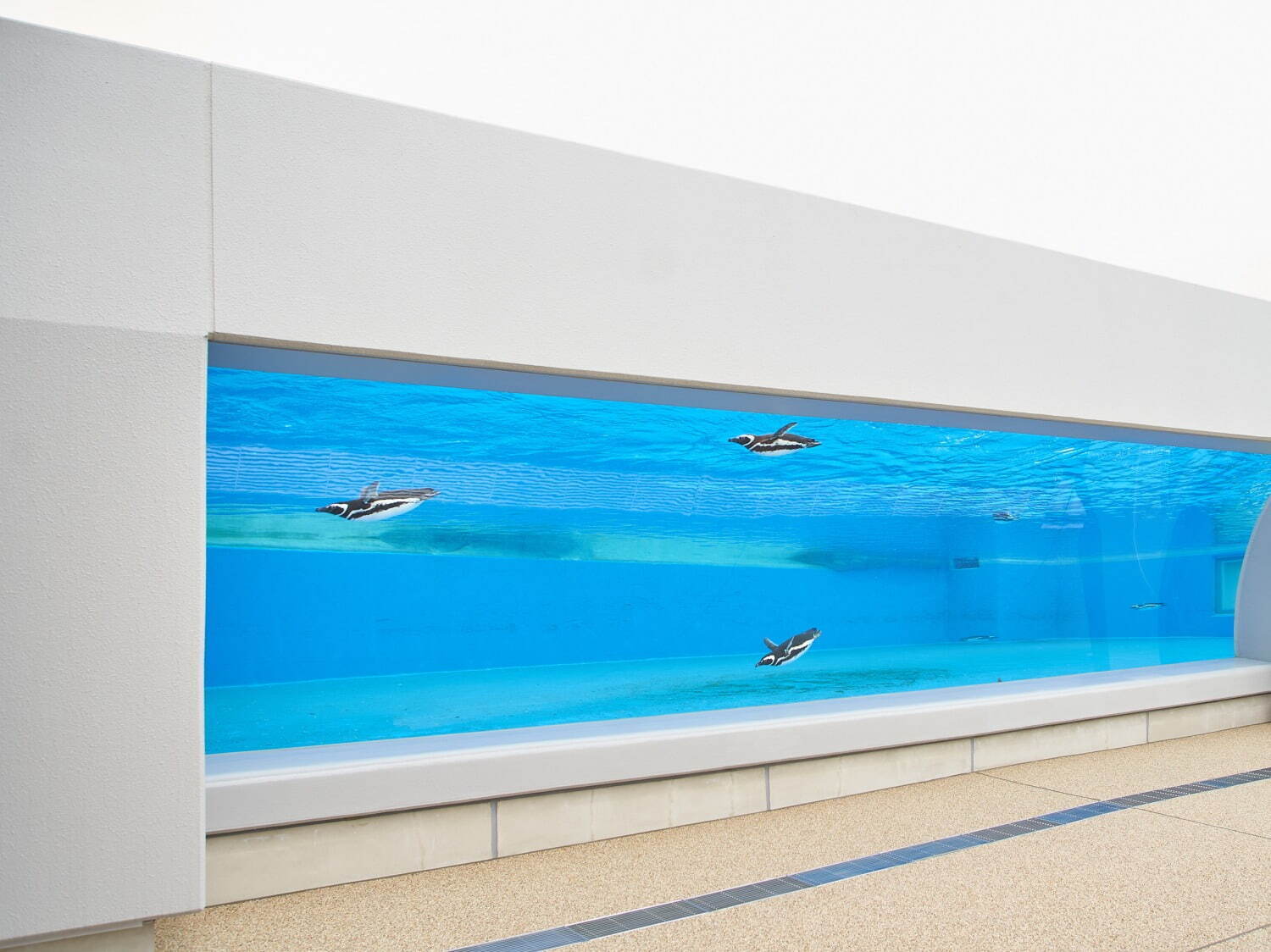 SNAP TASTE | Grand Reopening: Kobe City Suma Aqualife Park and Suma ...