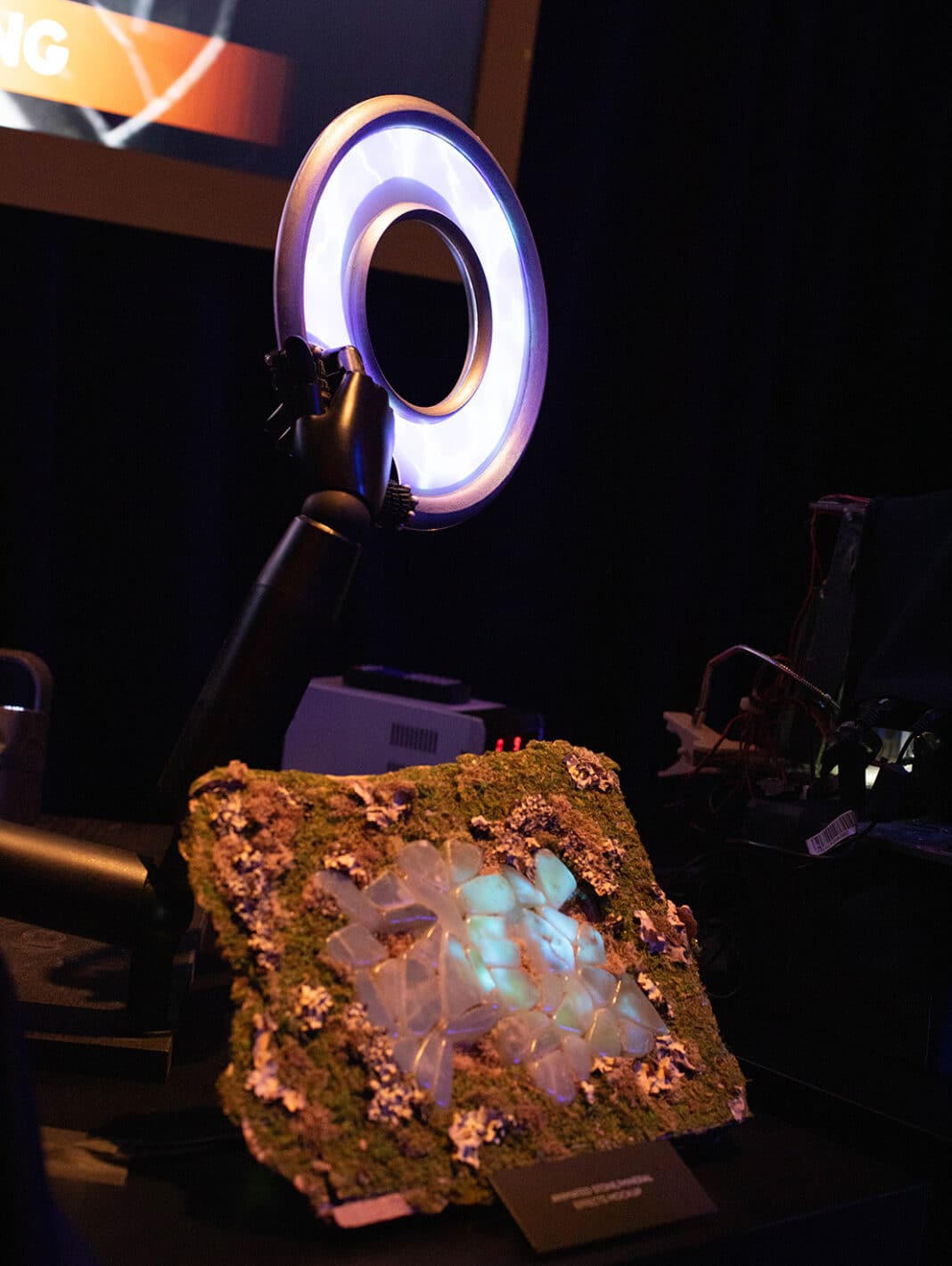 The Grand Finale of D23 Expo: A Celebration of Disney Legends ...