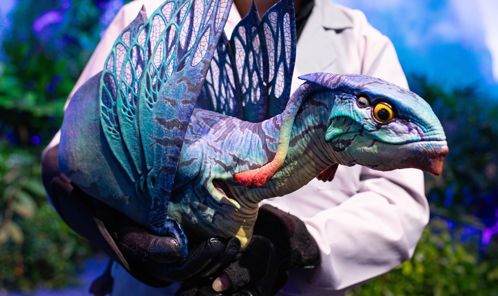 The Grand Finale of D23 Expo: A Celebration of Disney Legends ...