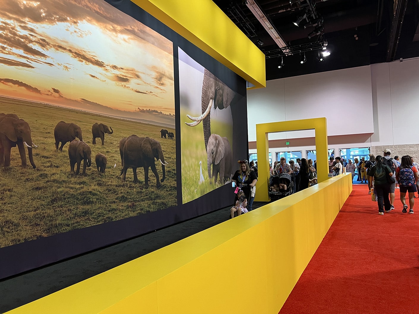 Day 2 Highlights from D23: Exciting Announcements and Panels at Honda ...