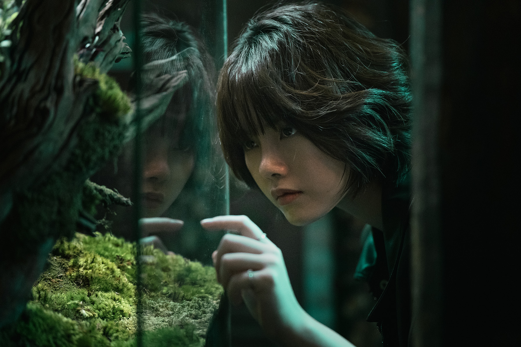 Secrets Beneath the Blooms Dalah Death and the Flowers on Netflix ...