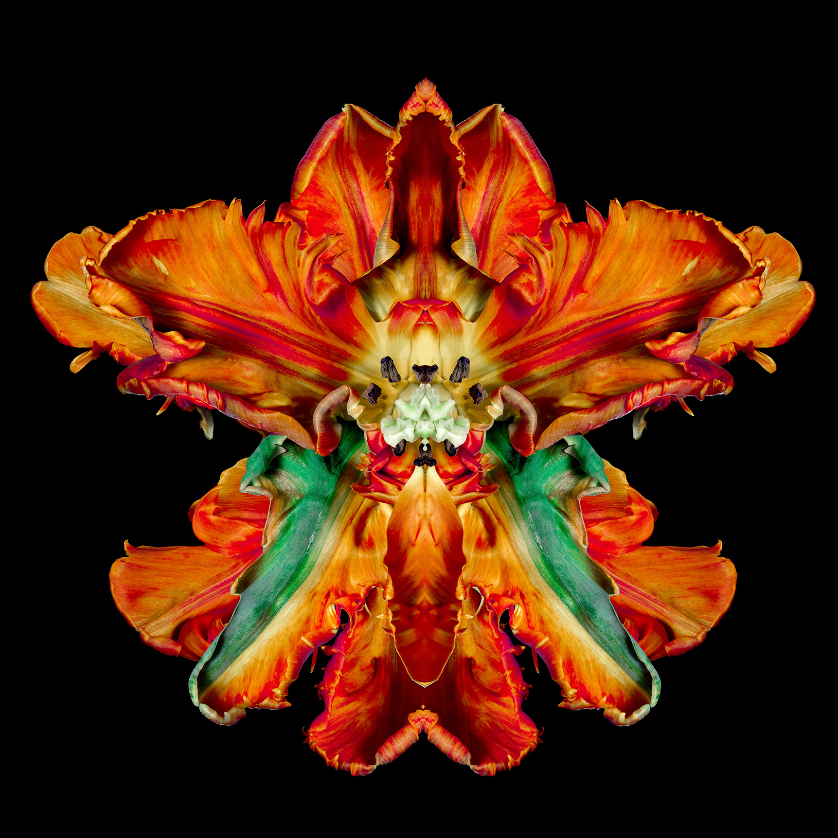 A Living Gallery: Jeff Robb’s “Serenissima” Reimagines Hotel Art at ...