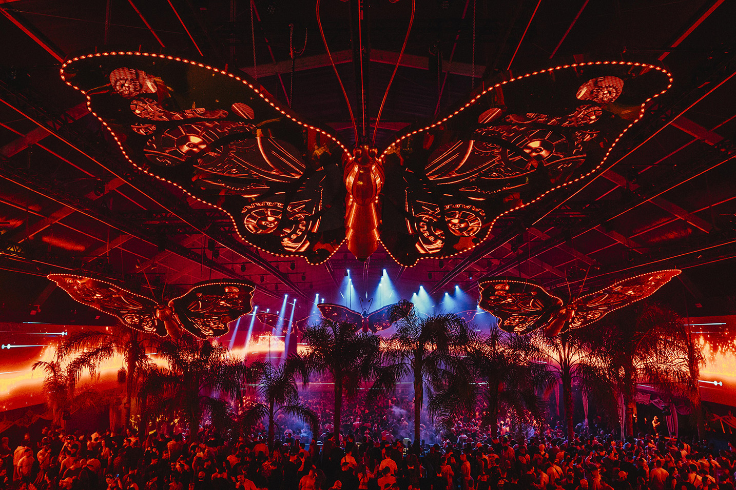 Tomorrowland Brasil 2025: The Ultimate Guide for the People of Tomorrow ...