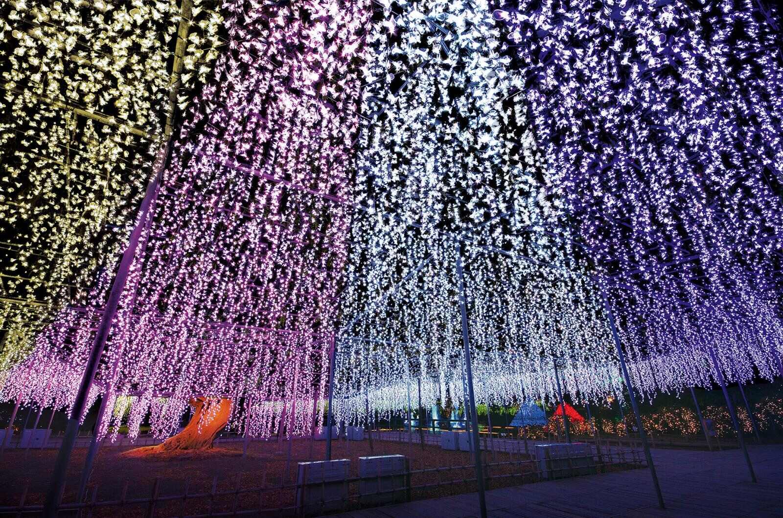 Millions of lights bloom in Tochigi this winter | SNAP TASTE