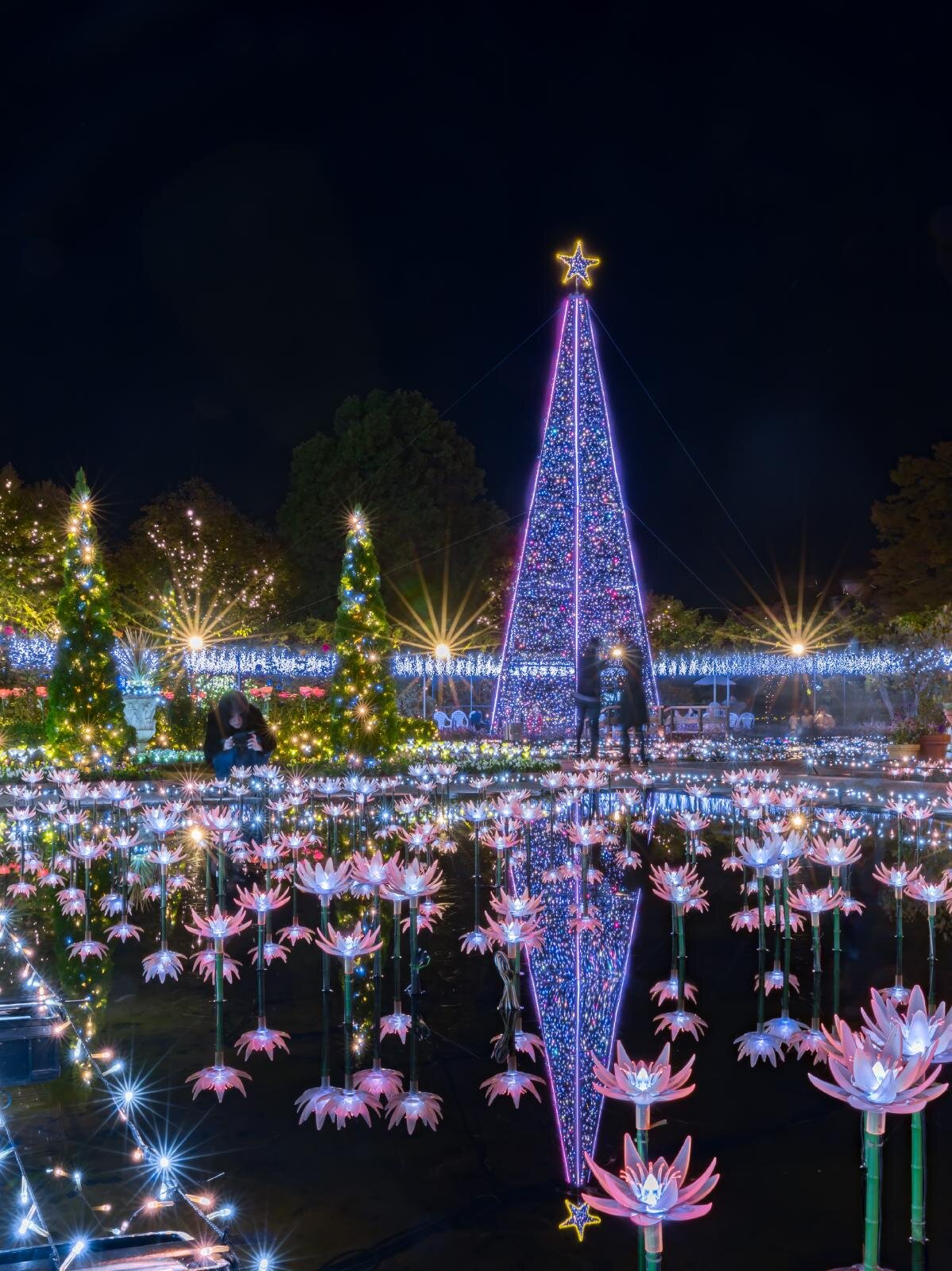 Millions of lights bloom in Tochigi this winter | SNAP TASTE